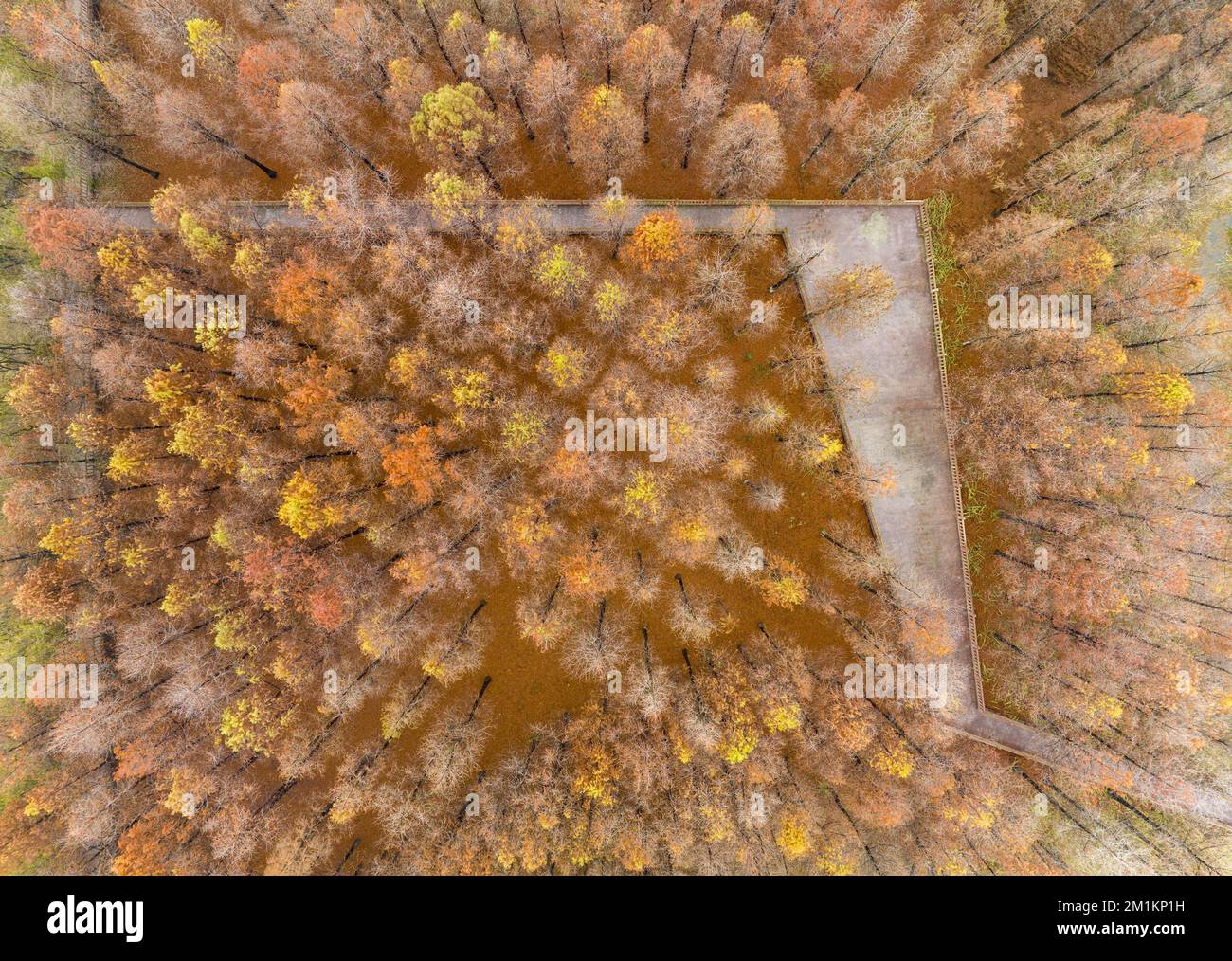 Aerial photo shows the winter scenery of Ancient Huaihe River National ...