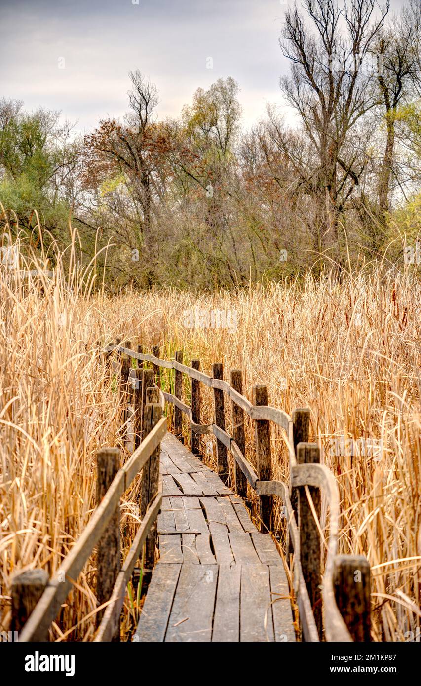 Hungarian countryside in autumn, HDR Image Stock Photo - Alamy