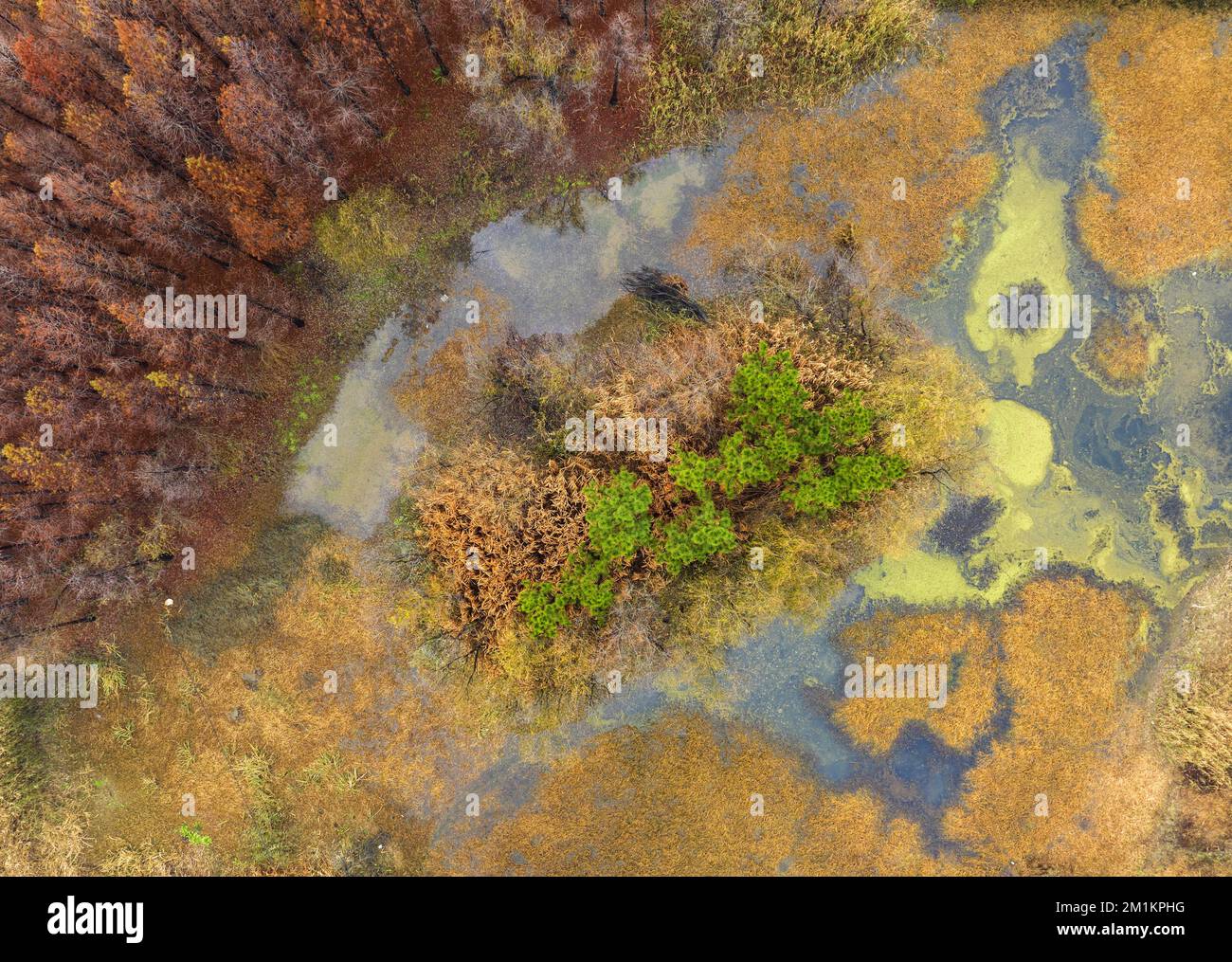 Aerial photo shows the winter scenery of Ancient Huaihe River National ...