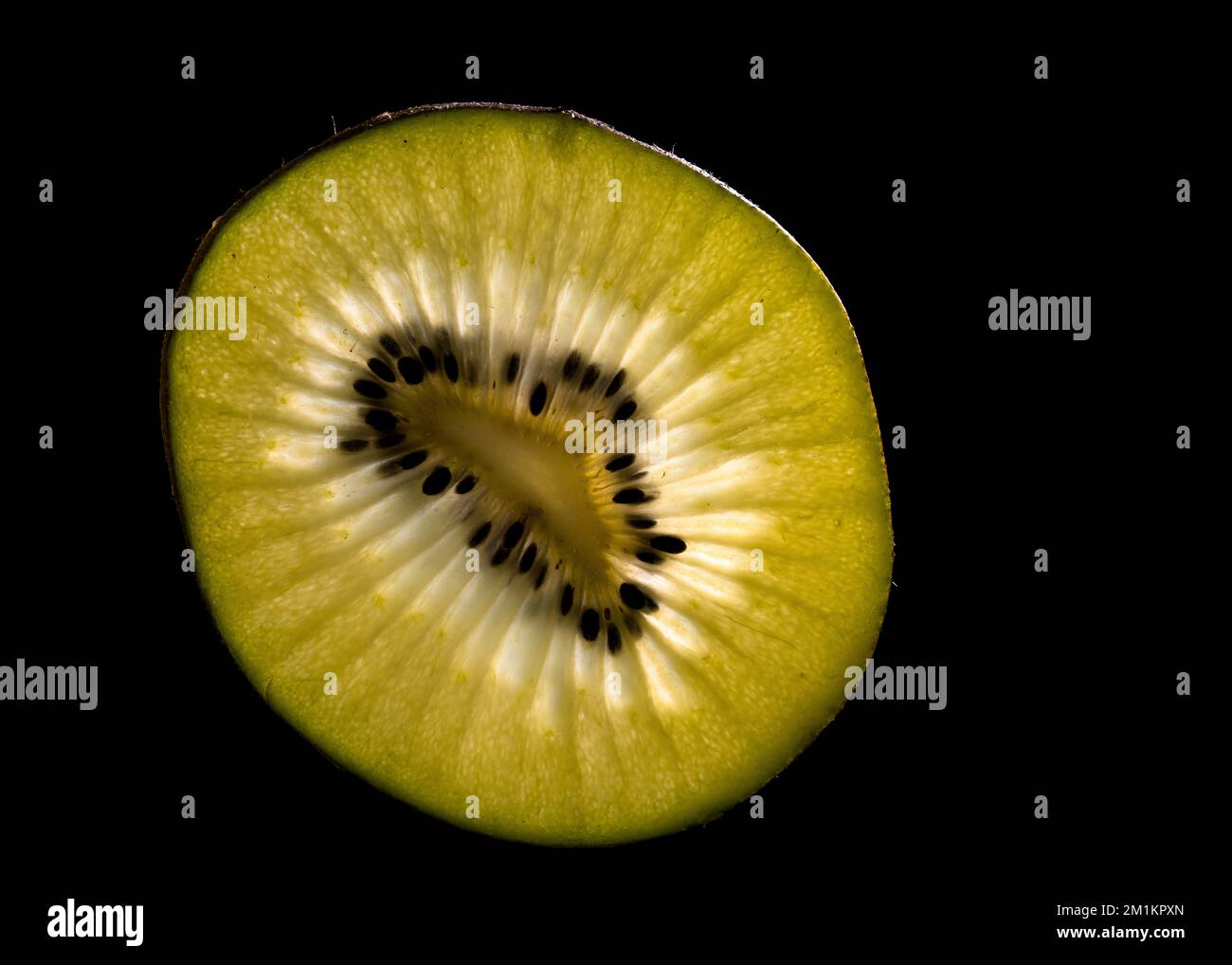 A thin slice of fruit or vegetable photographed against backlight in a ...