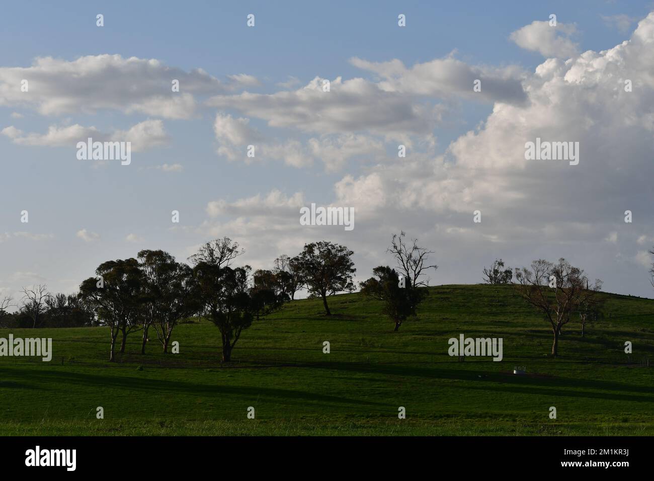 Visit armidale hi-res stock photography and images - Alamy