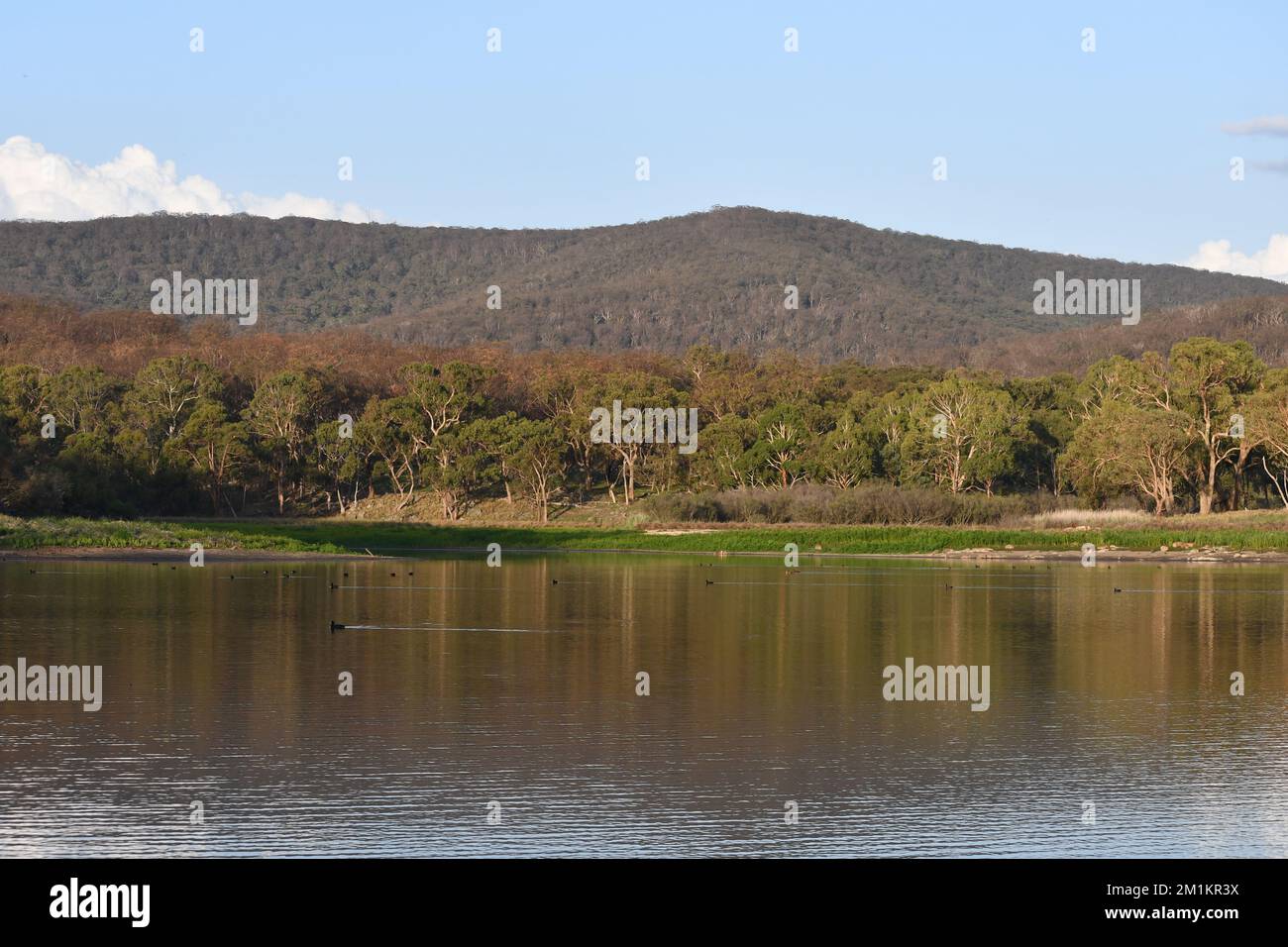 Beautiful Dumaresq dam in summer: green Duval hill, lake water and ...