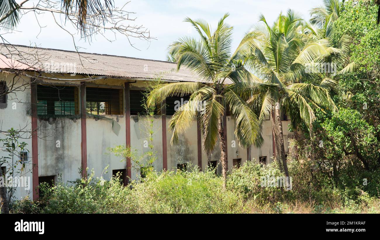 Abandoned old building in the jungle with palm trees Stock Photo - Alamy