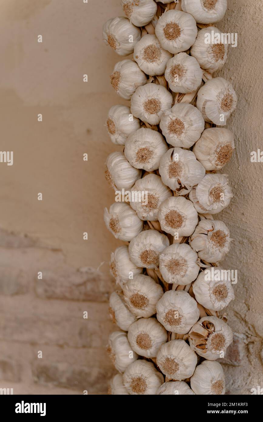 Bunch of garlic hanging on the wall Stock Photo - Alamy