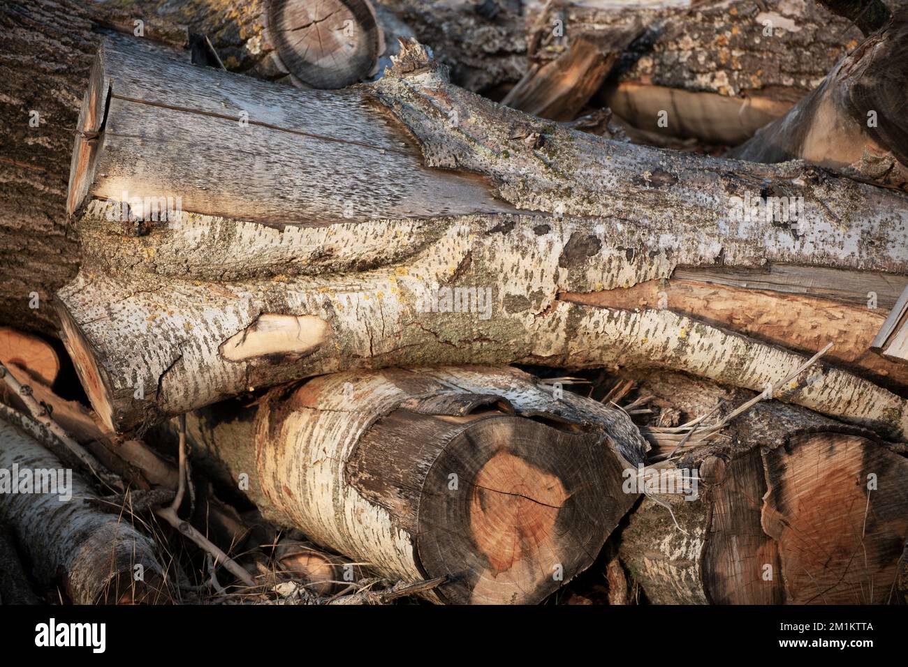 wooden logs background texture Stock Photo - Alamy