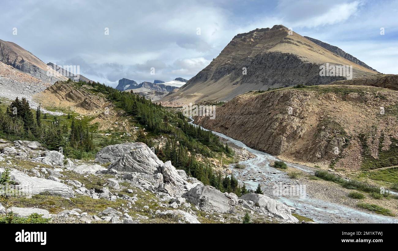 A beautiful view of the Brazeau Loop Trail in Jasper National Park ...