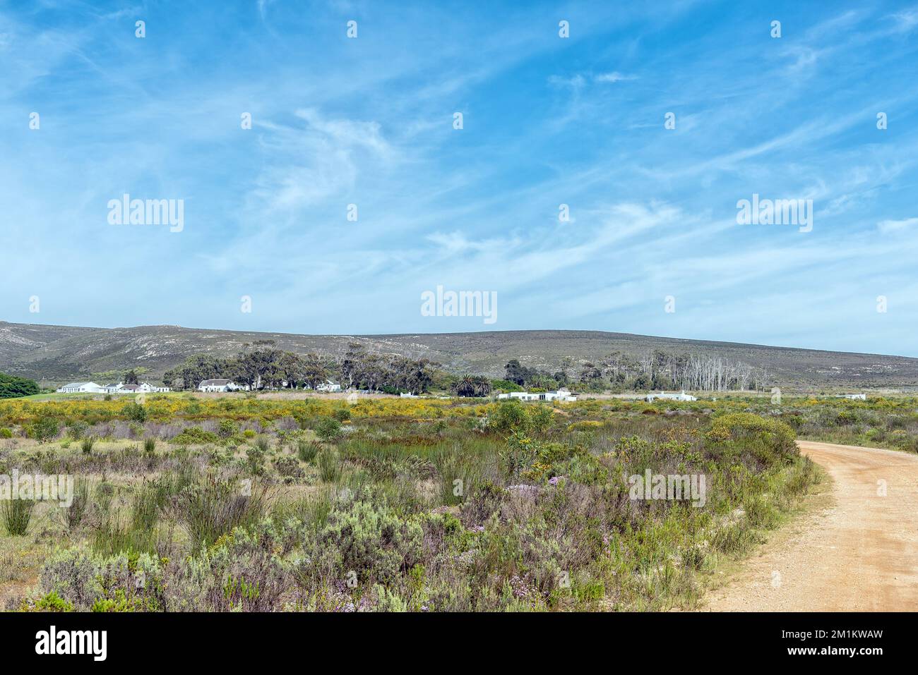 Struisbaai, South Africa - Sep 21, 2022: A view of Springfield Estate ...