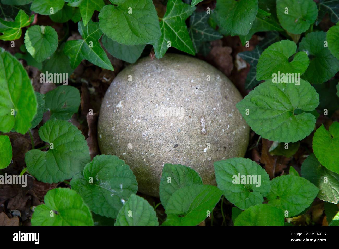 ball shaped rock background texture with ivy Stock Photo - Alamy