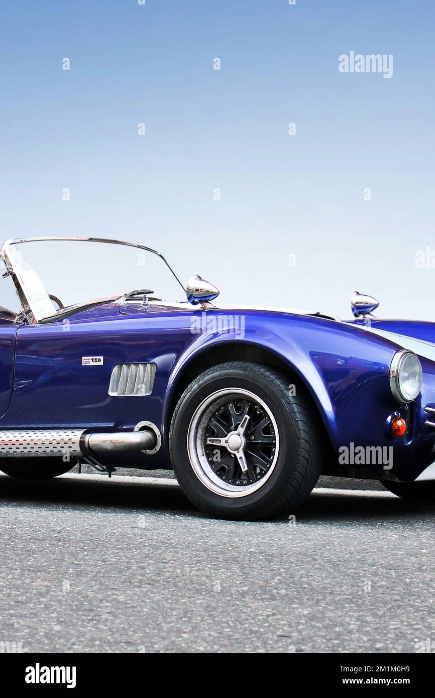 Cobra Car 2022 Wallpaper