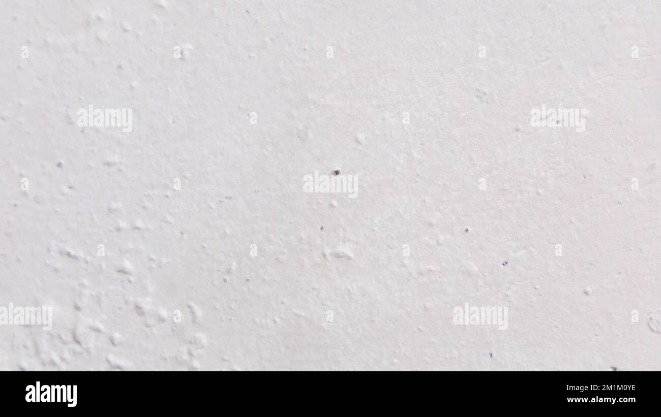 concrete wall texture with white paint as background Stock Photo - Alamy