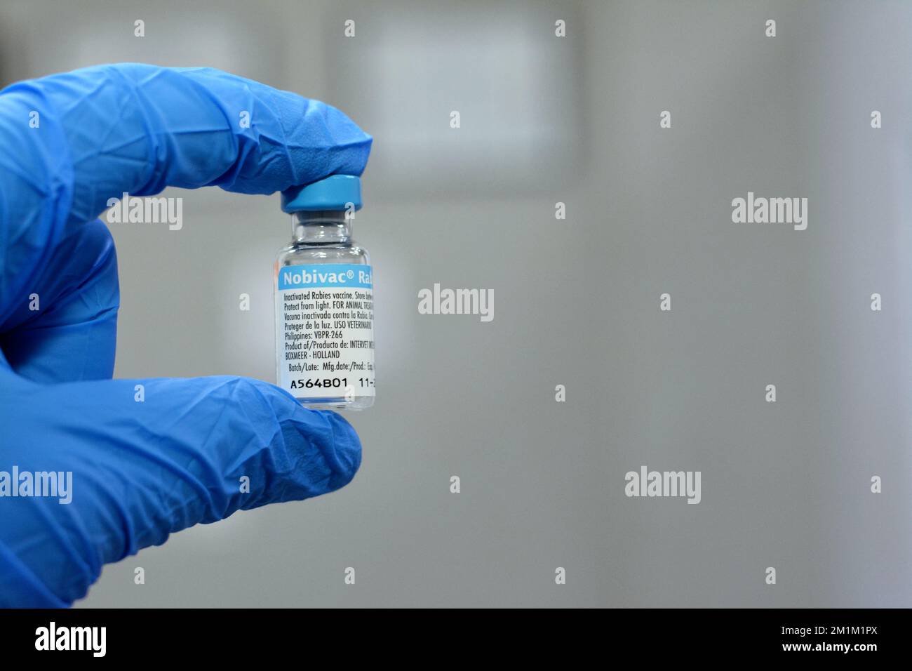 Cairo, Egypt, December 8 2022: Nobivac Rabies stable inactivated ...