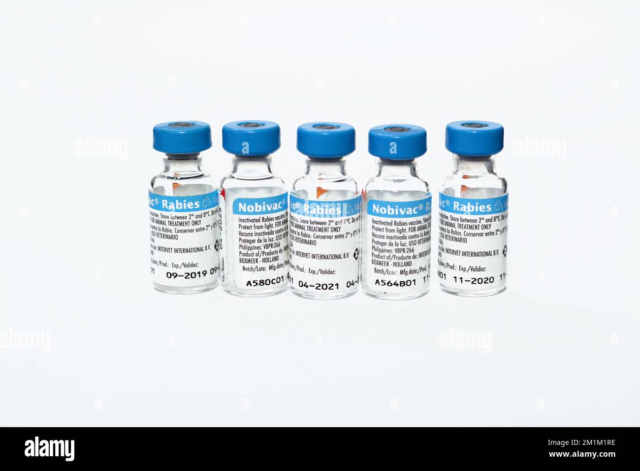 Cairo, Egypt, December 8 2022: Nobivac Rabies stable inactivated ...