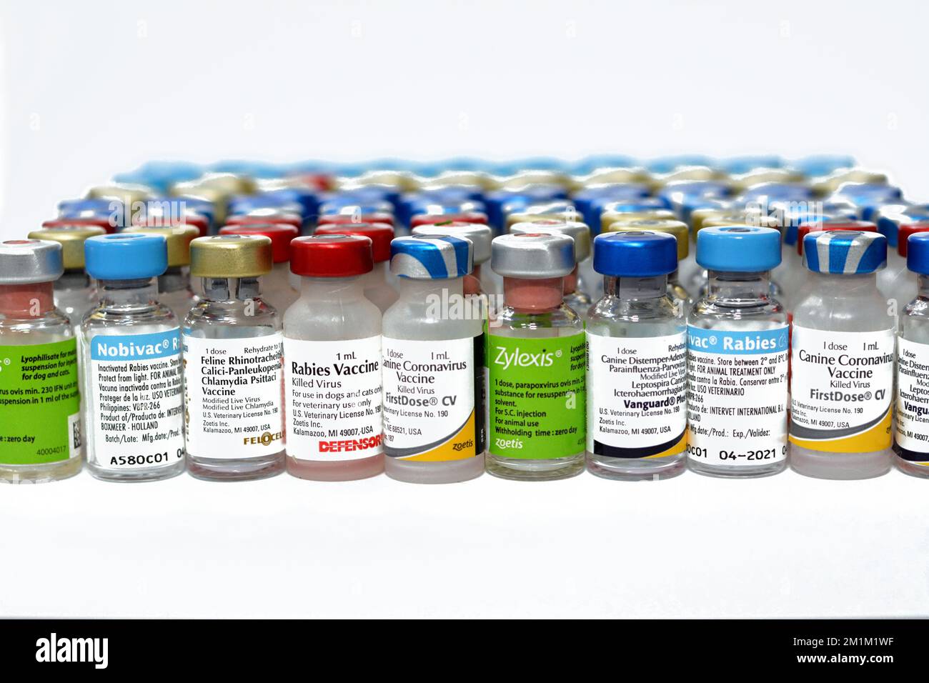 Vaccines for animals hi-res stock photography and images - Alamy