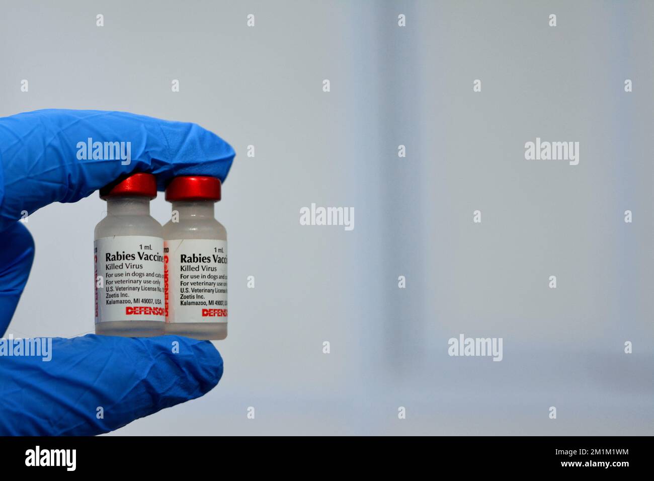 Cairo, Egypt, December 8 2022: Rabis vaccine killed virus for use of ...