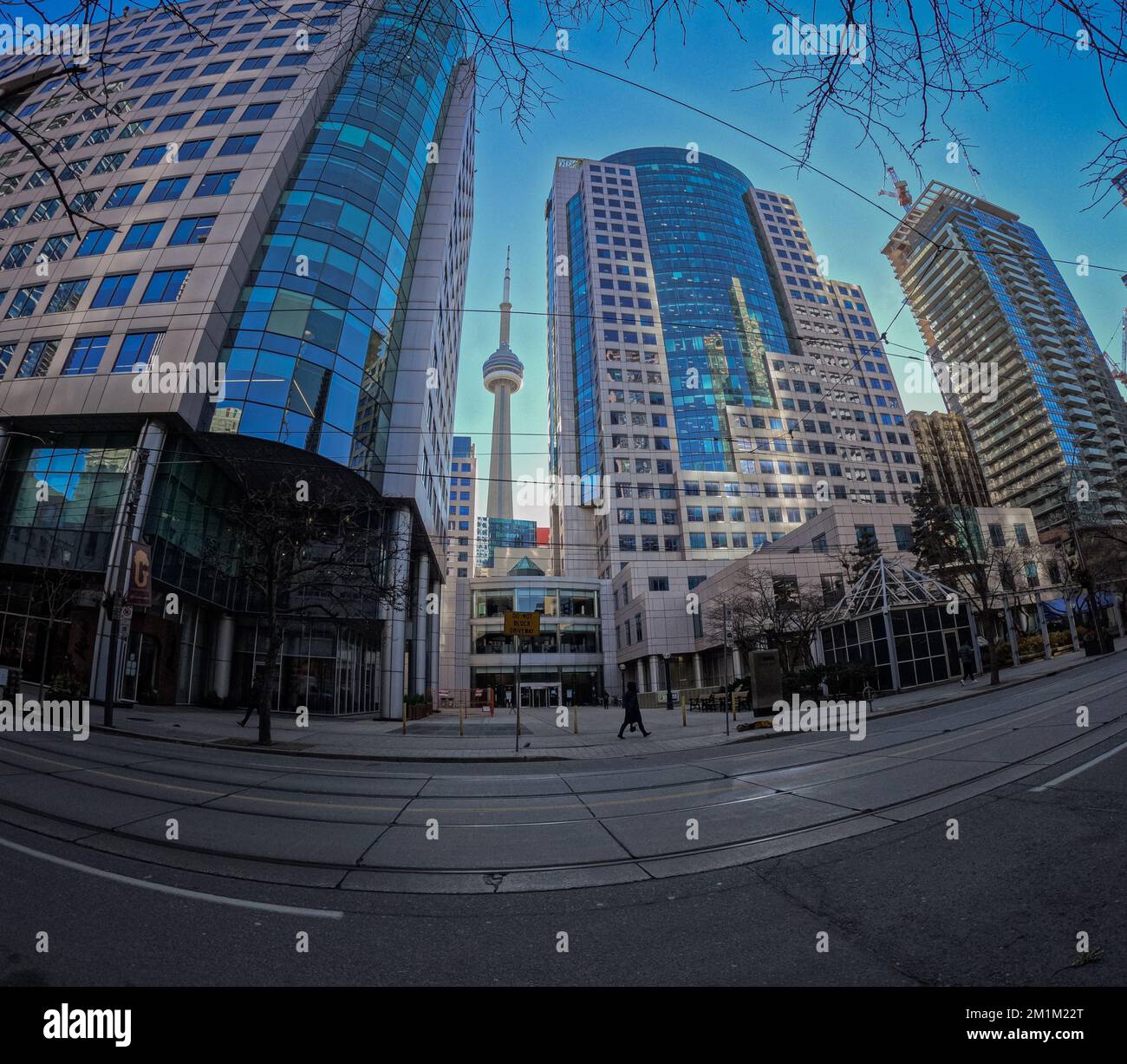 A low angle shot of the CN tower and surrounding buildings in Toronto ...