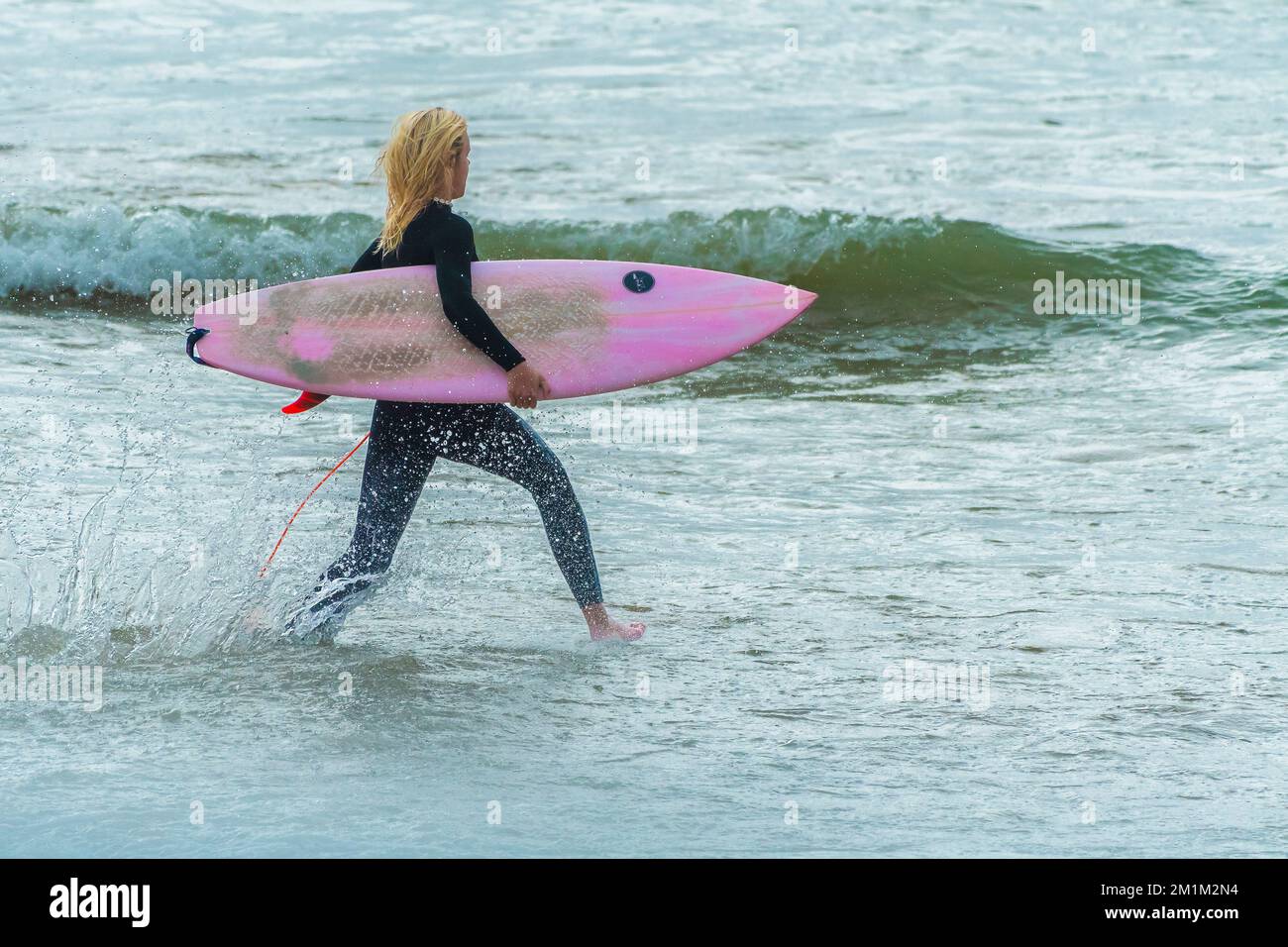 An eager young female surfer carrying her colourful surfboard running ...