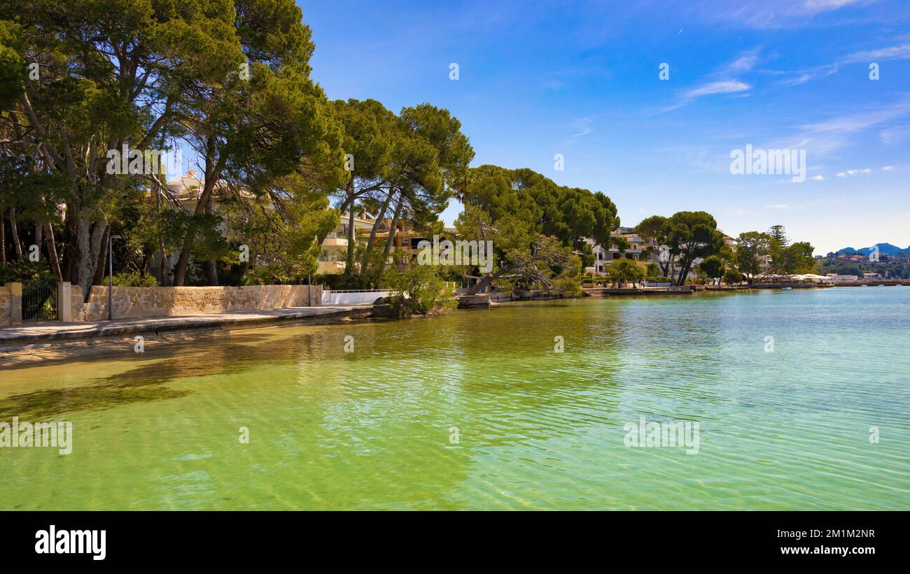 View of Albercutx Beach where the pine trees of the forest almost reach ...