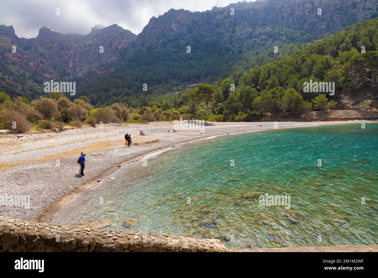 Quiet and spectacular beach of Cala Tuent on the Tramontana coast in ...