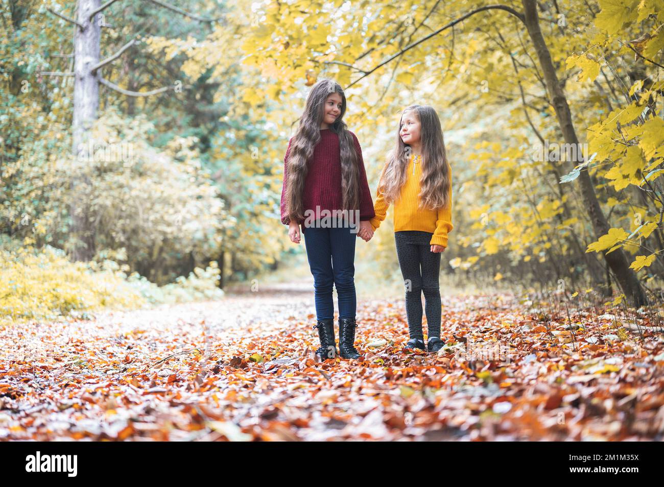 Two little girls with long hair in dark red and yellow jumpers and ...