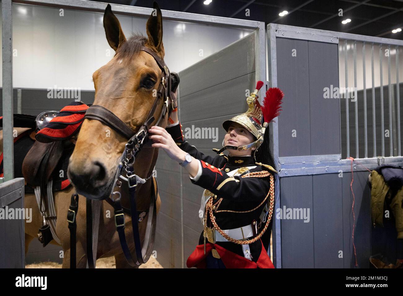 EDITORIAL USE ONLY Laura Callerand brushes Chester de Gadsby who are ...