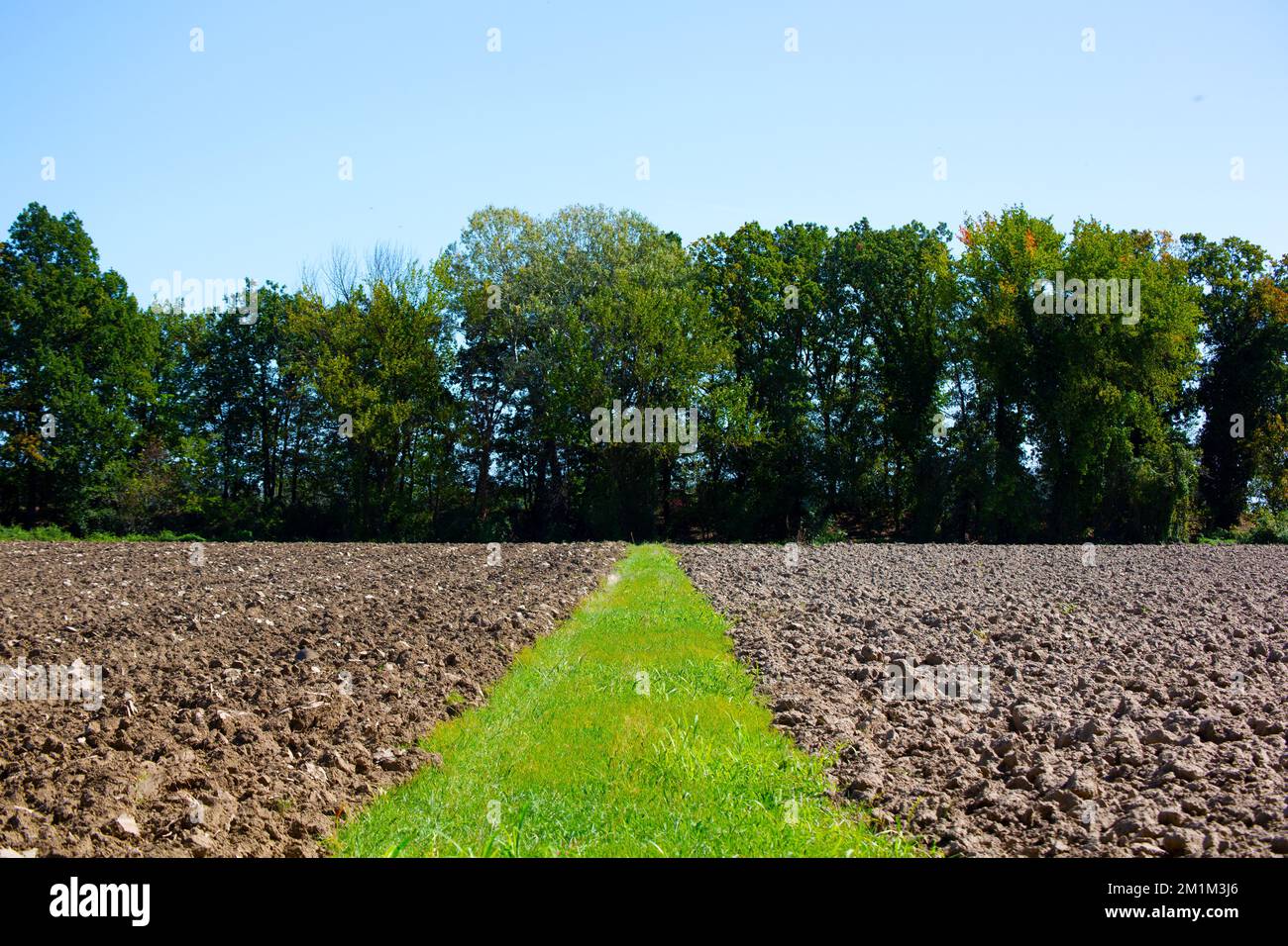 landscape cultivated fields in the Po valley Stock Photo - Alamy
