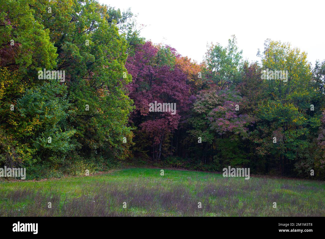 landscape of the Tuscan-Emilian Apennine mountains Stock Photo - Alamy