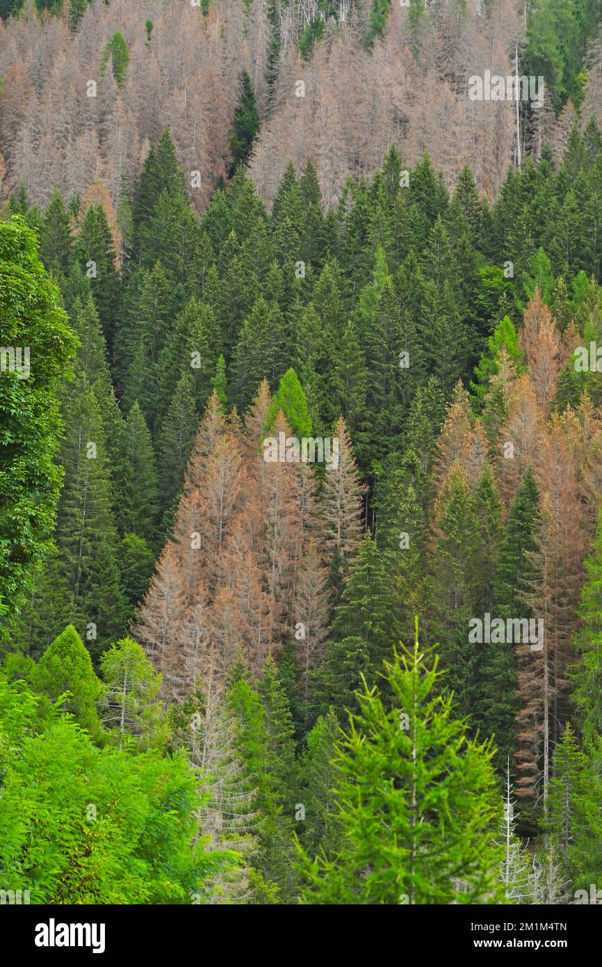 landscape of the Tuscan-Emilian Apennine mountains Stock Photo - Alamy