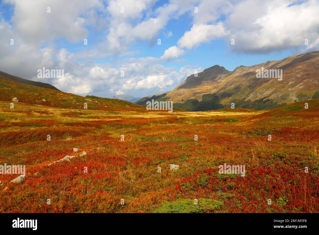 landscape of the Tuscan-Emilian Apennine mountains Stock Photo - Alamy