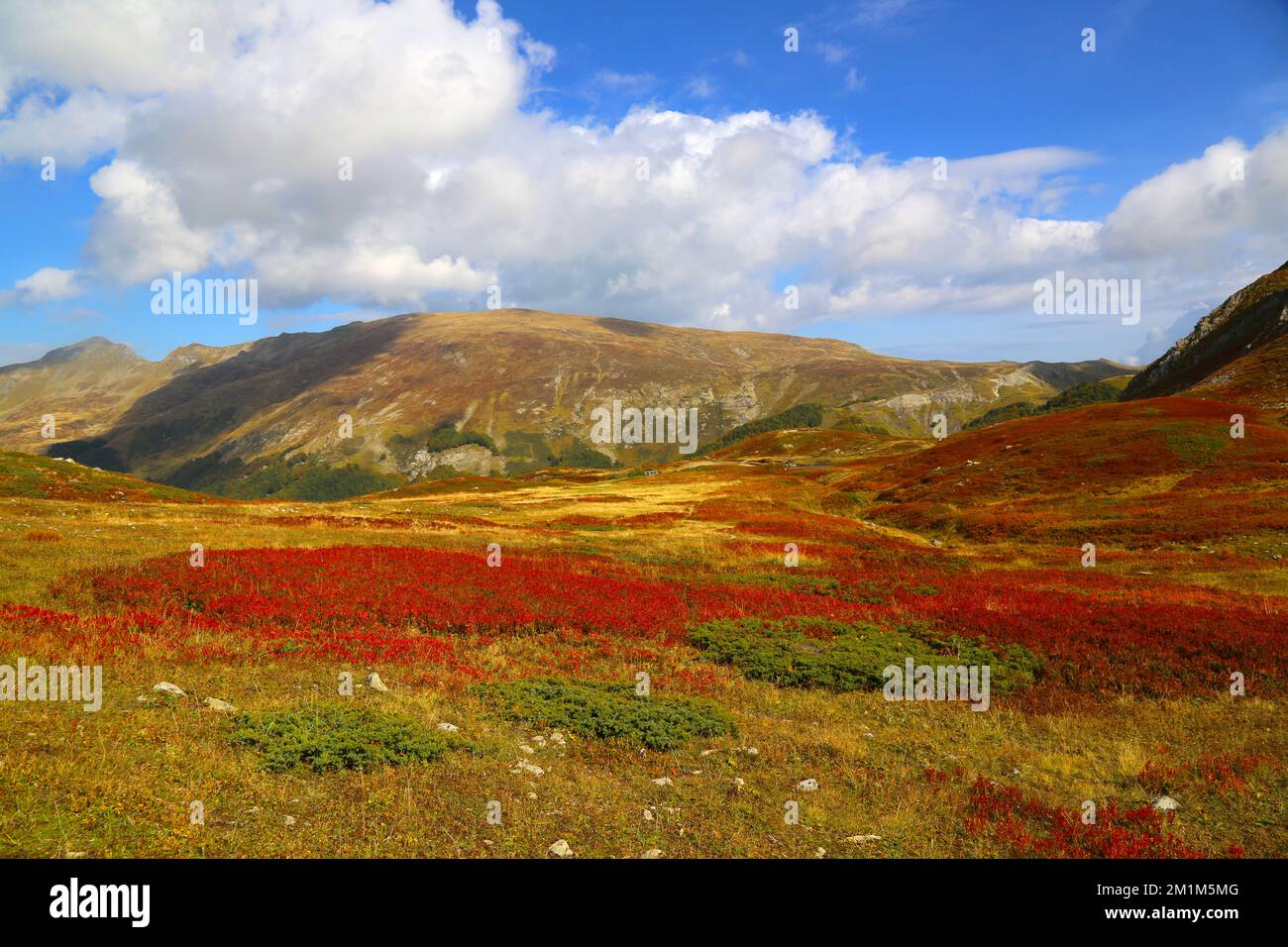 landscape of the Tuscan-Emilian Apennine mountains Stock Photo - Alamy