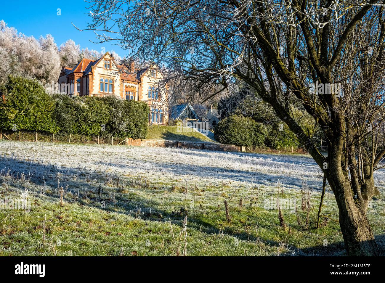Arresting eye hi-res stock photography and images - Alamy