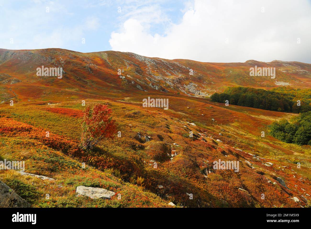 landscape of the Tuscan-Emilian Apennine mountains Stock Photo - Alamy