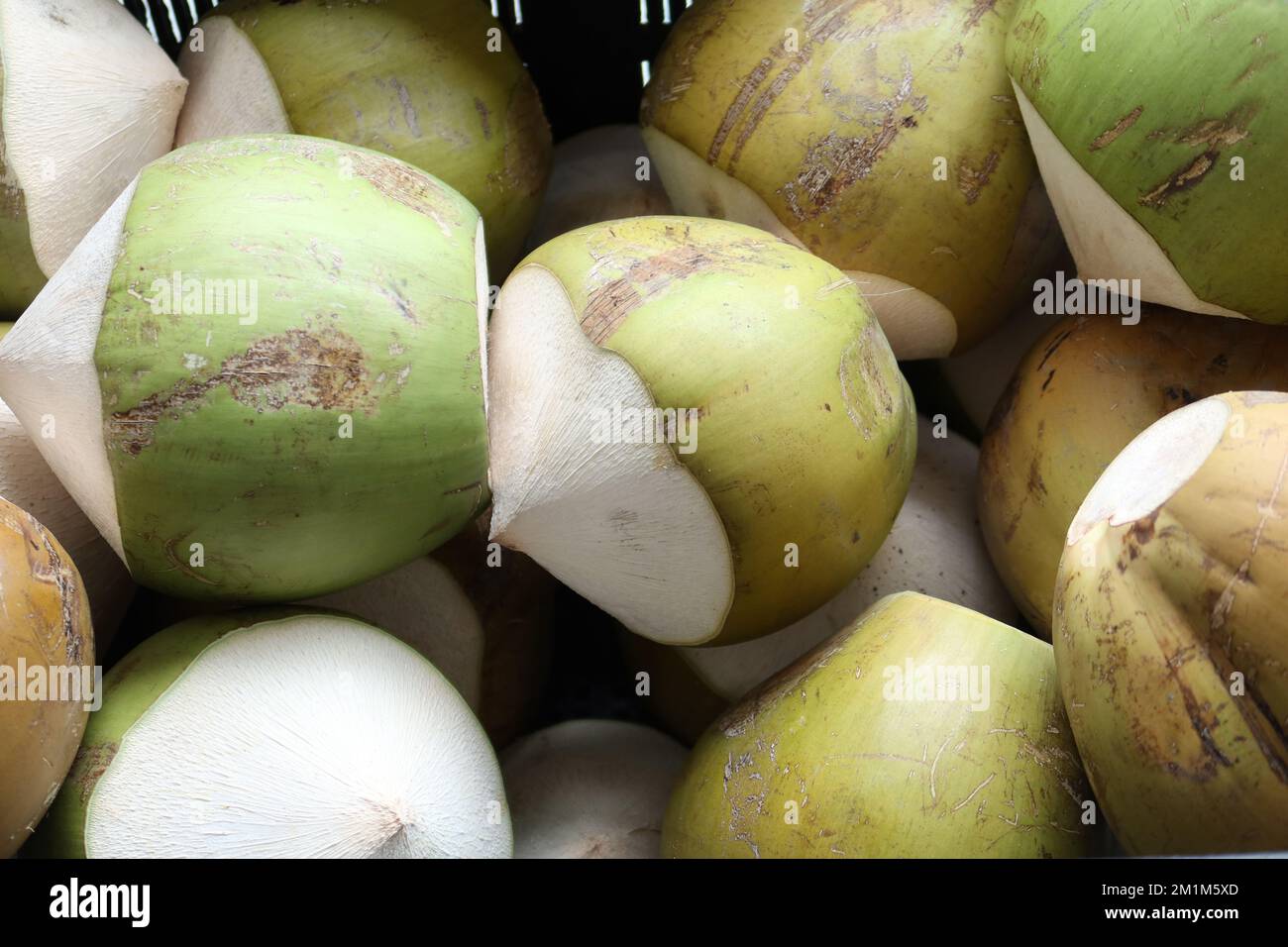 Stack fresh coconut display sale hi-res stock photography and images ...