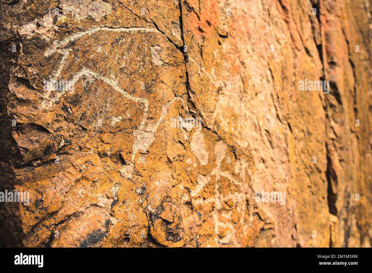 Archaeological rock carvings of animals. Petroglyphs on stones close up ...