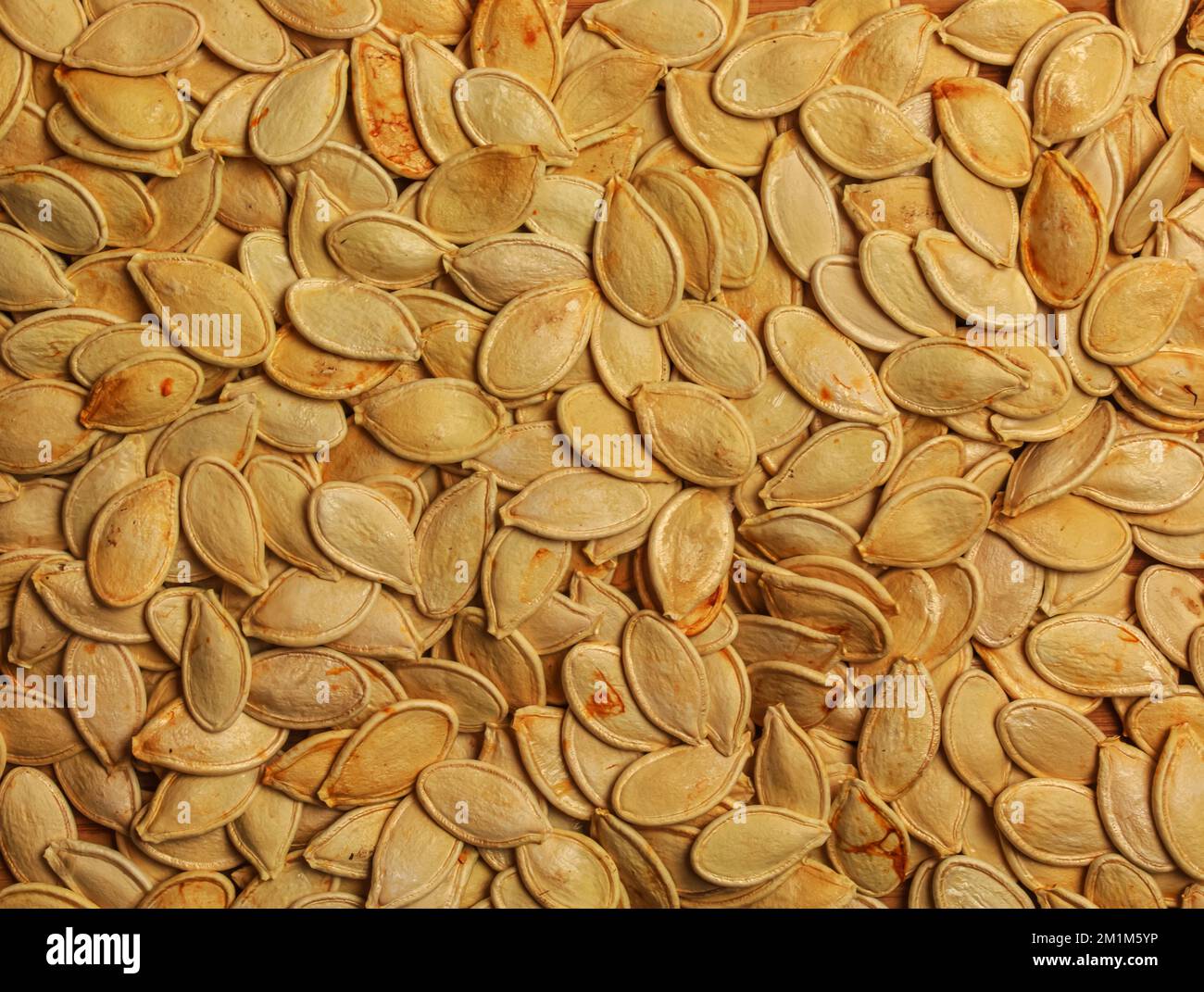 Pumpkin seed texture. Pumpkin seeds pattern as background Stock Photo ...