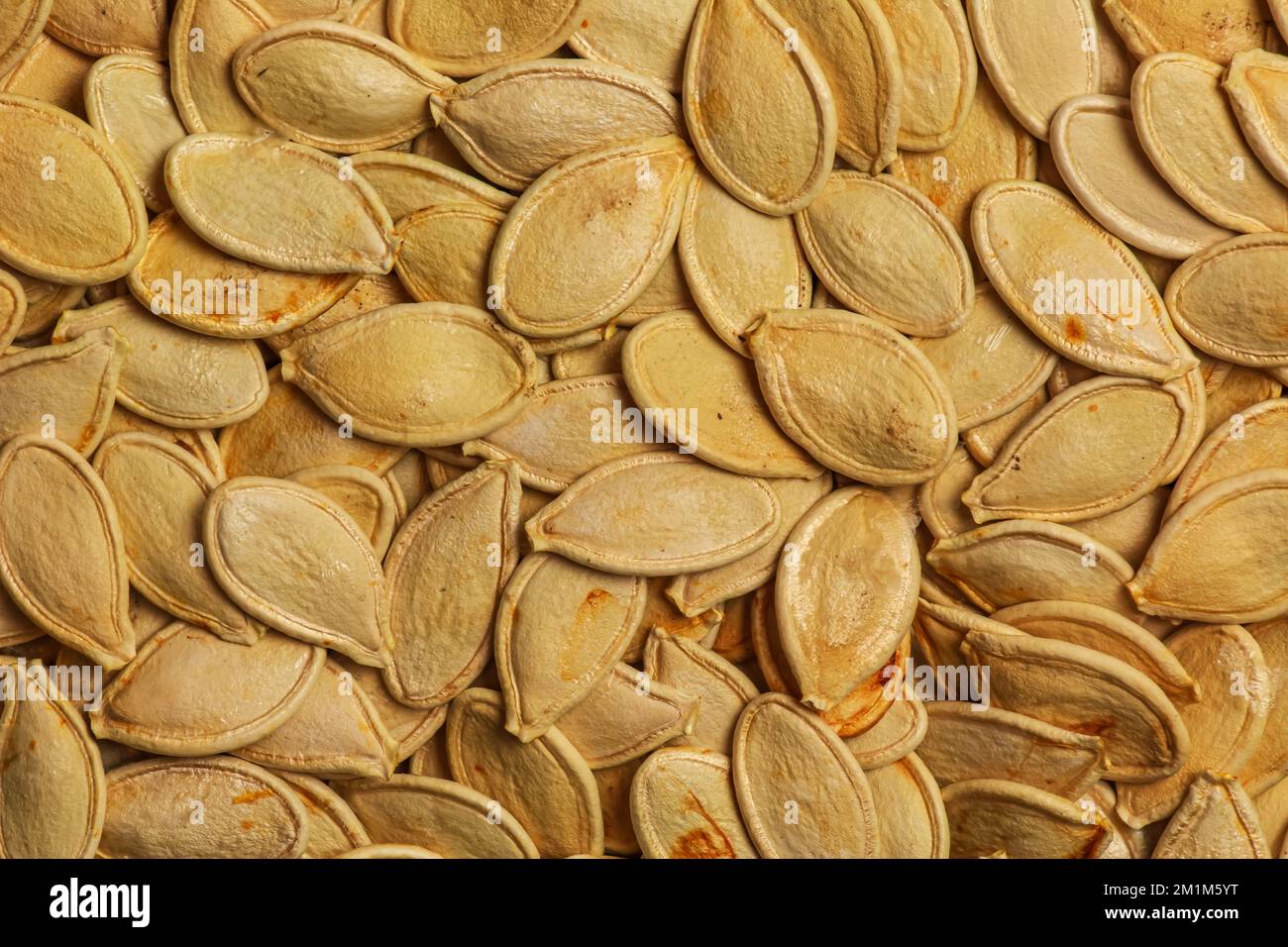 Pumpkin seed texture. Pumpkin seeds pattern as background Stock Photo ...