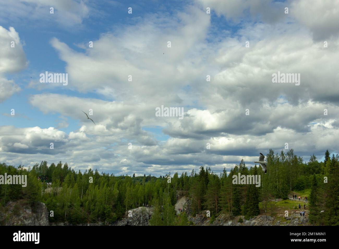 Beautiful sky over field forest hi-res stock photography and images - Alamy