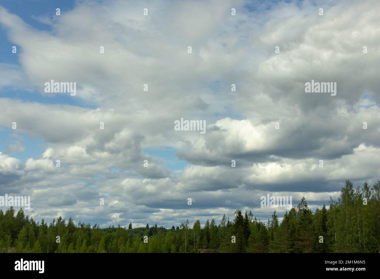 Beautiful sky over forest hi-res stock photography and images - Alamy
