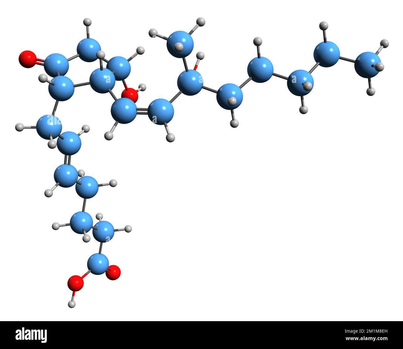 3D image of Prostaglandin E2 skeletal formula - molecular chemical ...