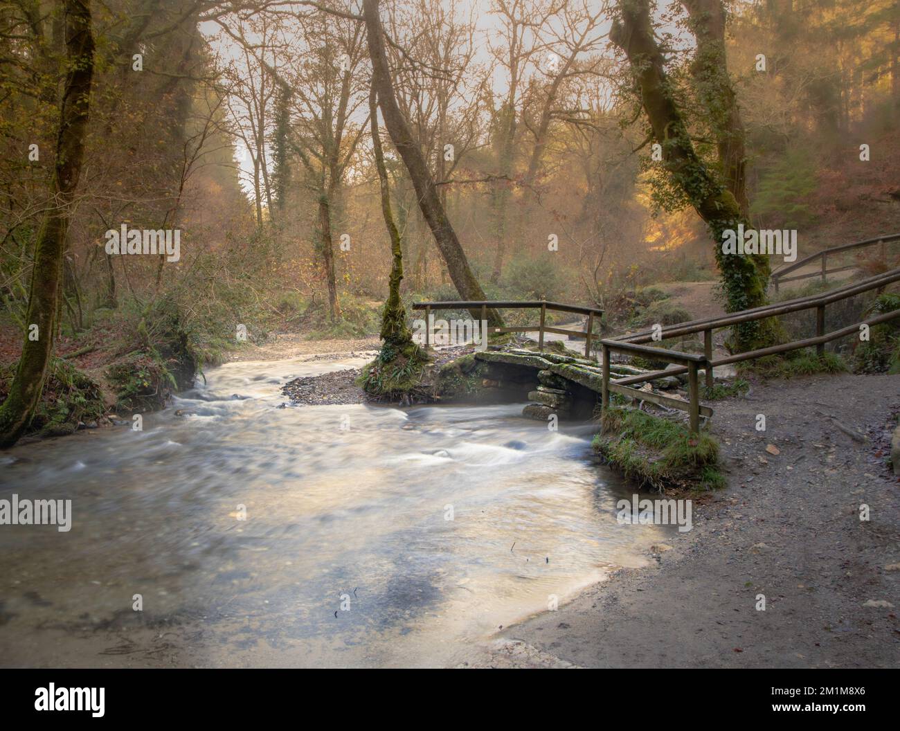 Bridge over stream at Cardinham woods, Cornwall Stock Photo - Alamy