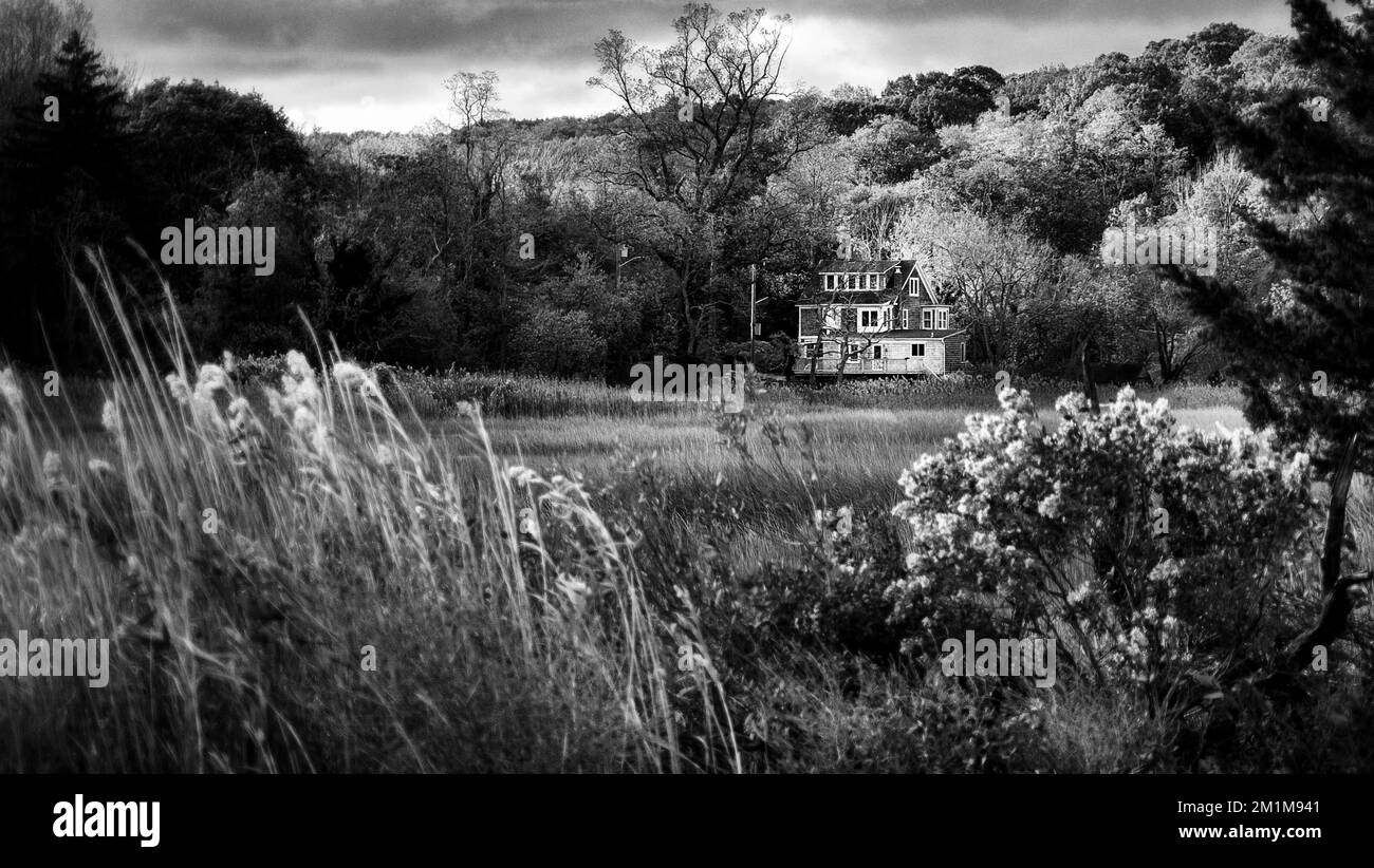 A grayscale shot of a field and dense trees with a house seen in the ...