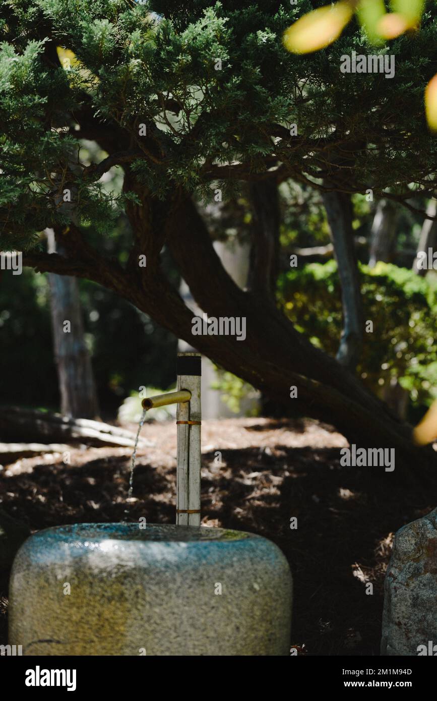 A vertical shot of water fountain under tree shadow in the park Stock ...