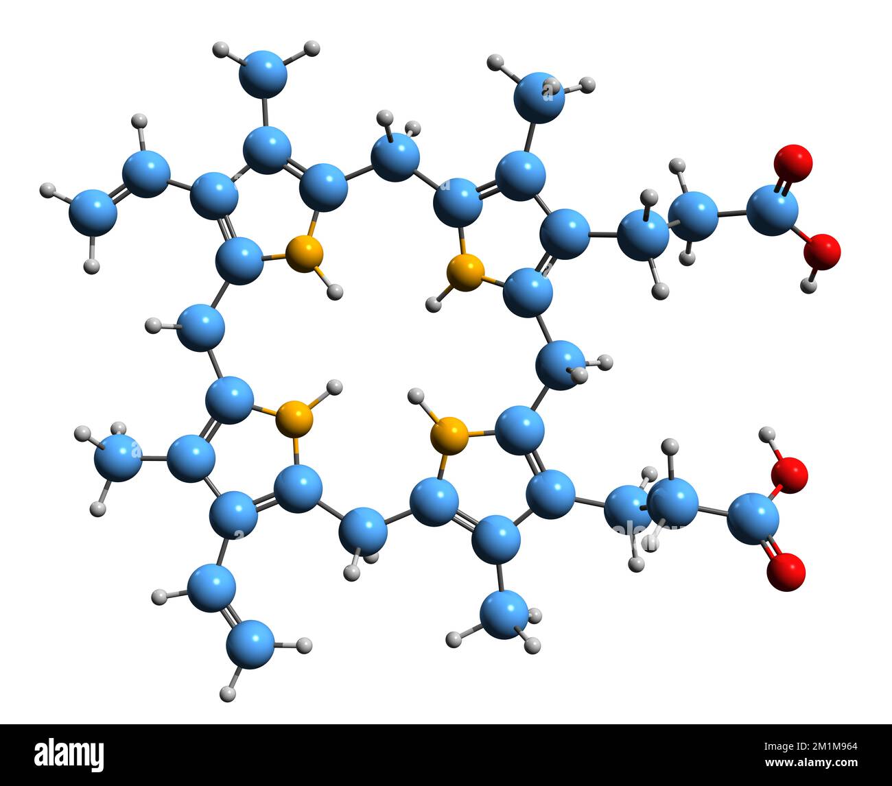 3D image of Protoporphyrinogen IX skeletal formula - molecular chemical structure of ...