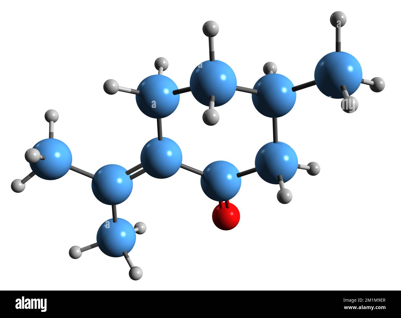 3D image of Pulegone skeletal formula - molecular chemical structure of ...