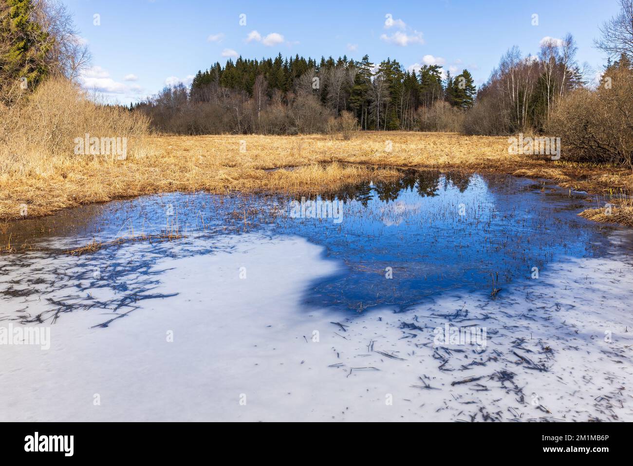 Frozen fen hi-res stock photography and images - Alamy