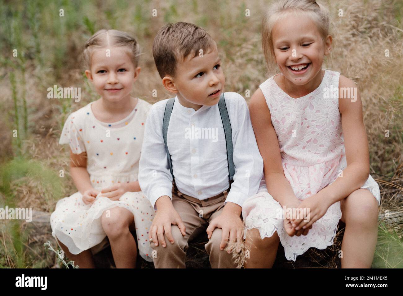 happy children play in a summer pine forest against the background of ...