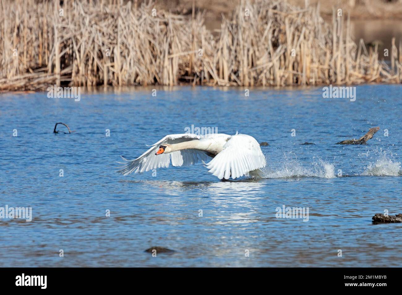 Four rivers environmental education center hi-res stock photography and ...