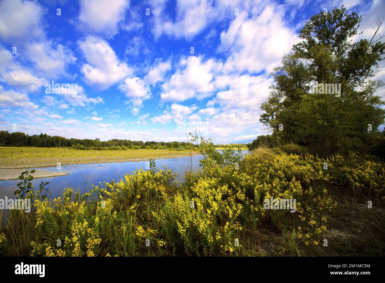 landscape of the Taro River Regional Park, Parma Italy Stock Photo - Alamy