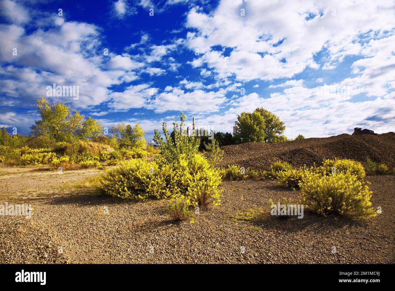 landscape of the Taro River Regional Park, Parma Italy Stock Photo - Alamy
