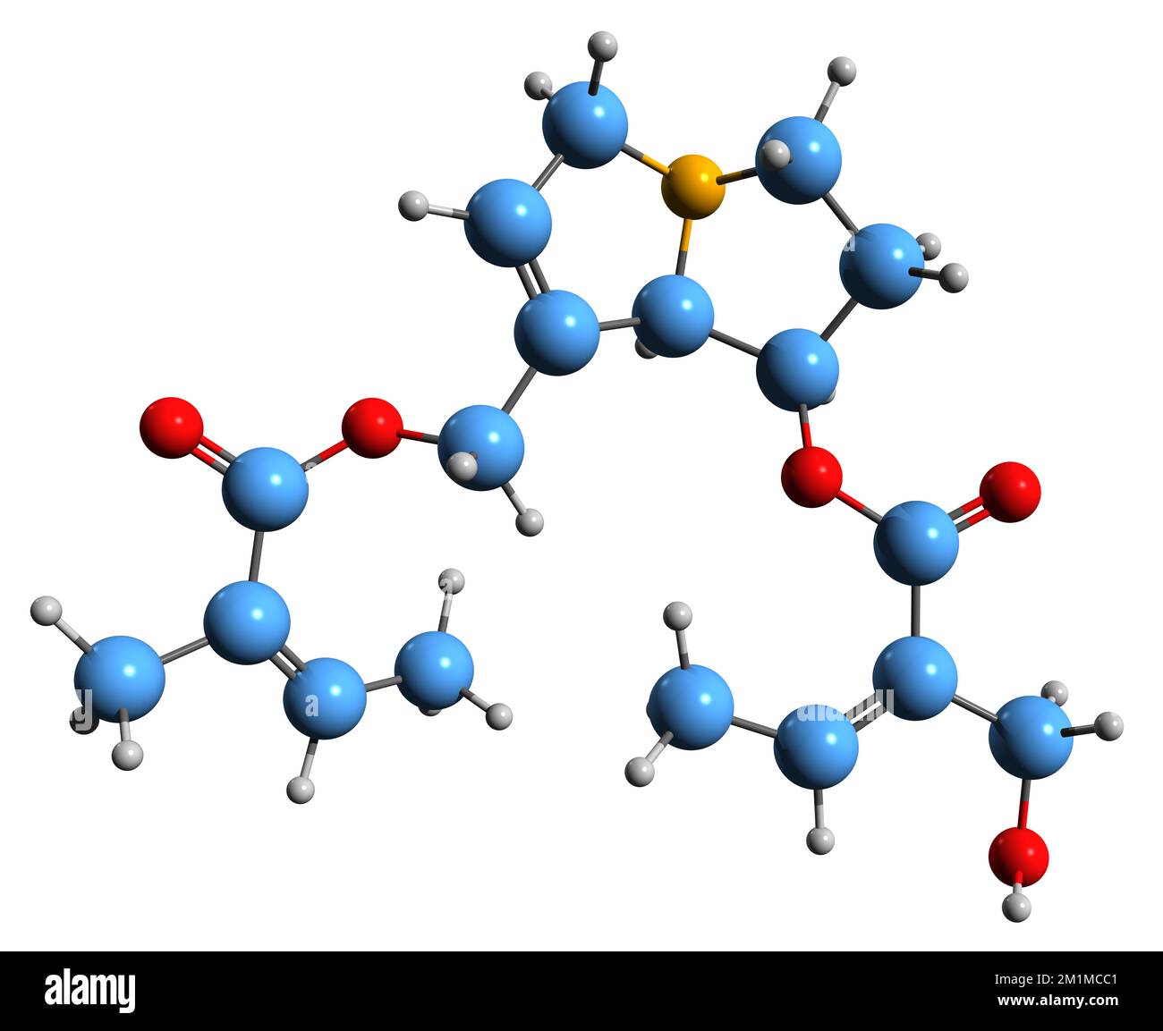 3D image of Sarracine skeletal formula - molecular chemical structure ...