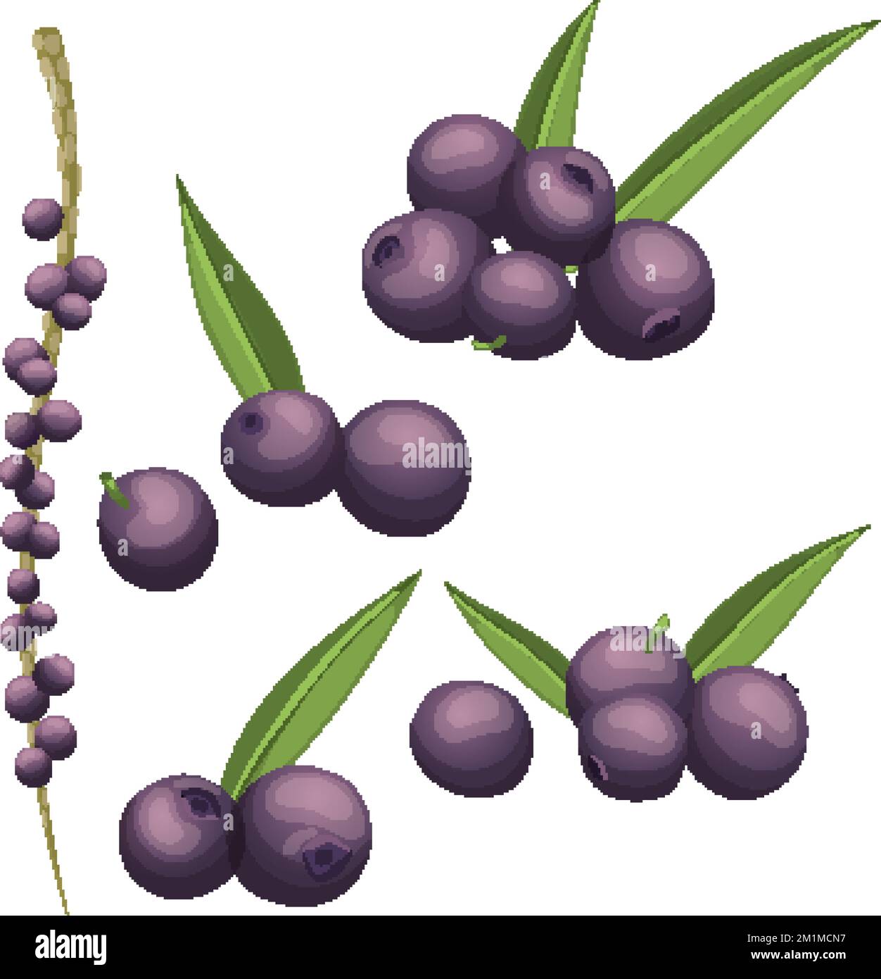 acai fruit berry food set cartoon vector illustration Stock Vector ...